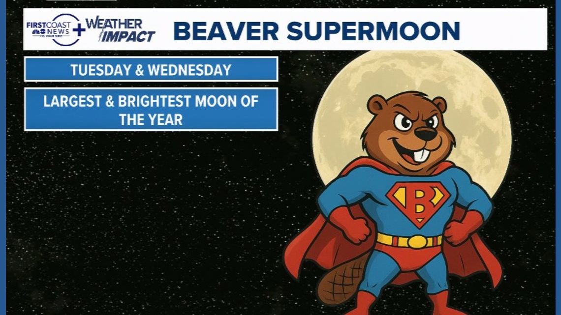 Law enforcement presence at First Federal Bank in Yulee ...