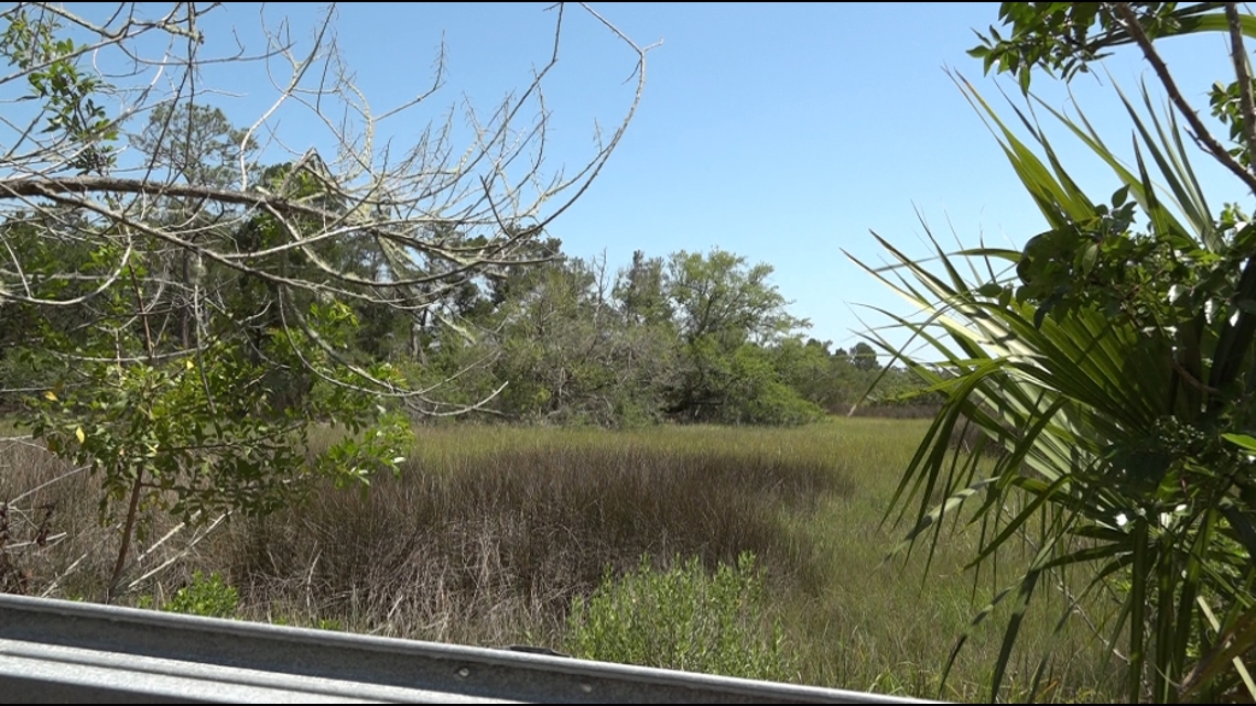 St. Augustine buys last developable acreage of Fish Island ...