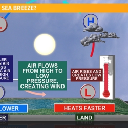 What is sea breeze and how does it work? | firstcoastnews.com