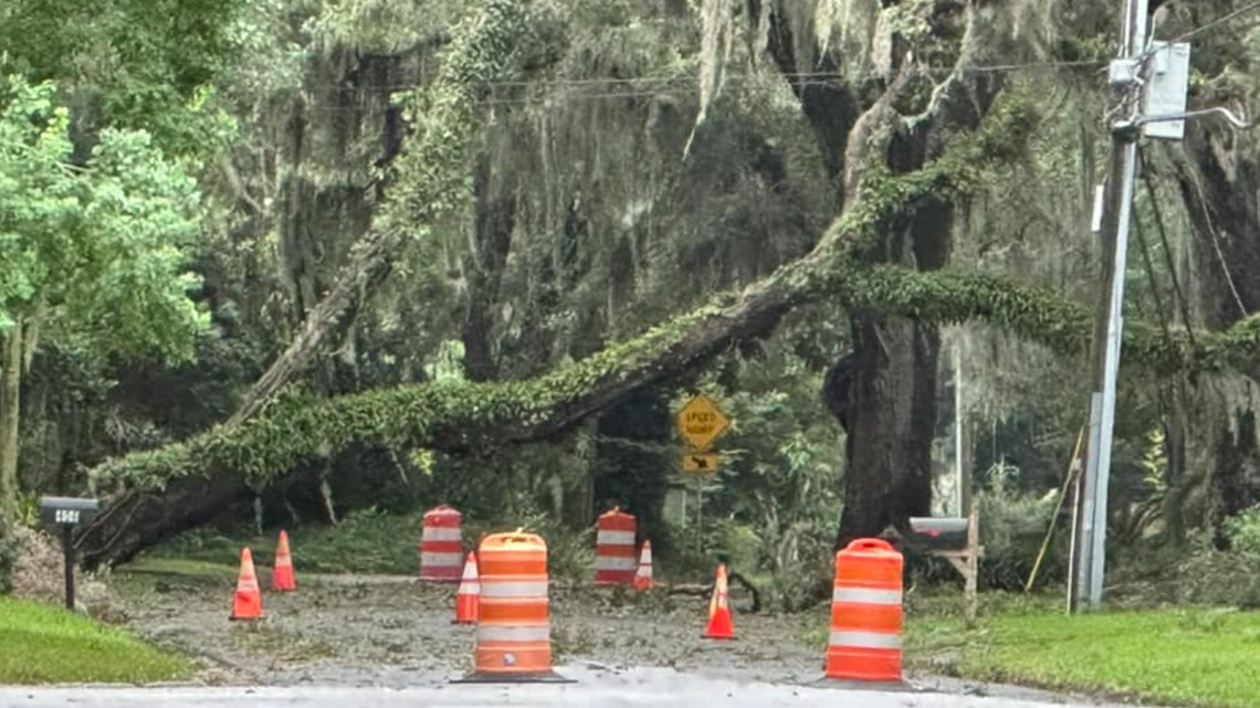 Idalia aftermath causes damage and destruction across First Coast ...