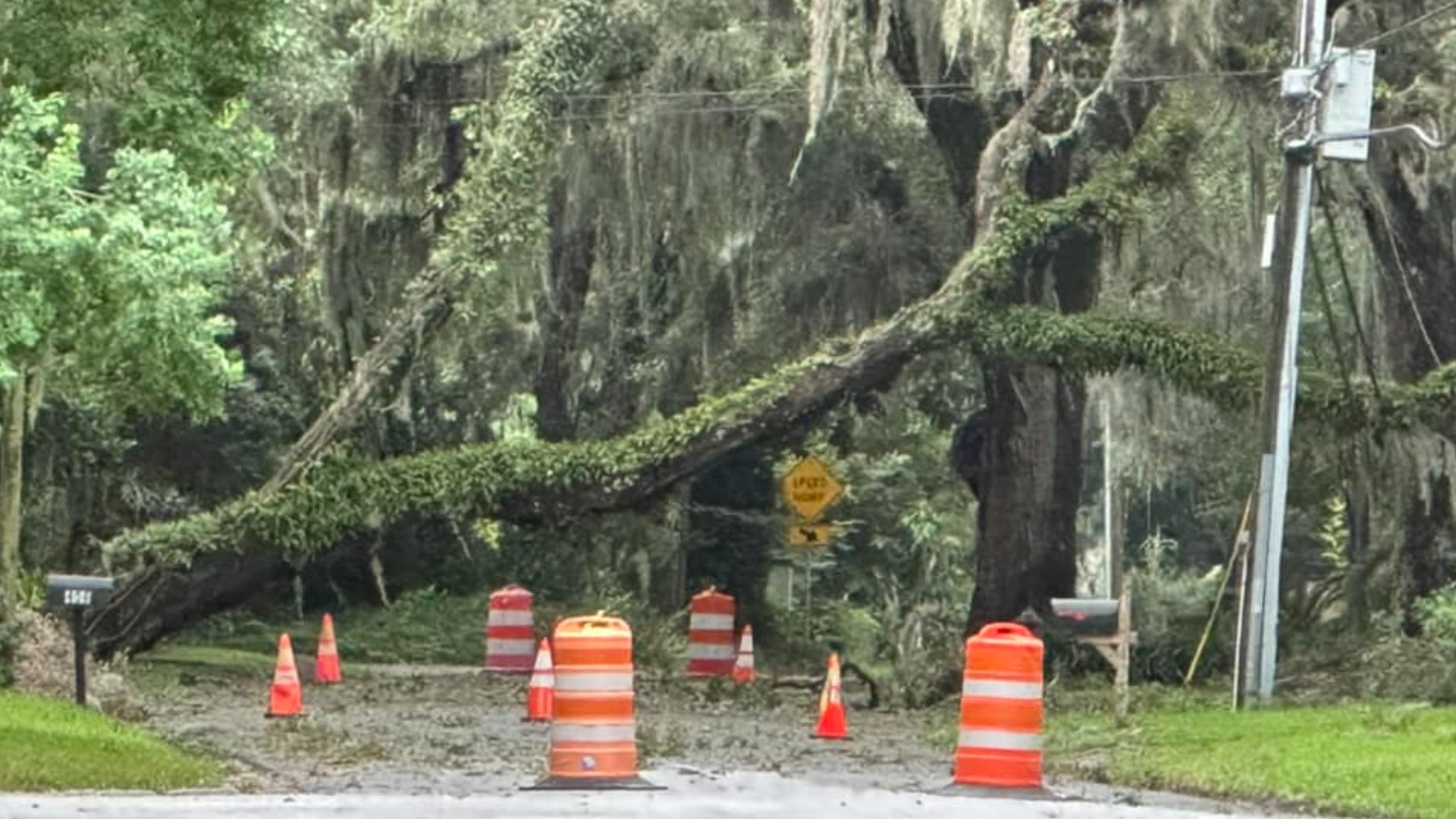 Idalia aftermath causes damage and destruction across First Coast ...