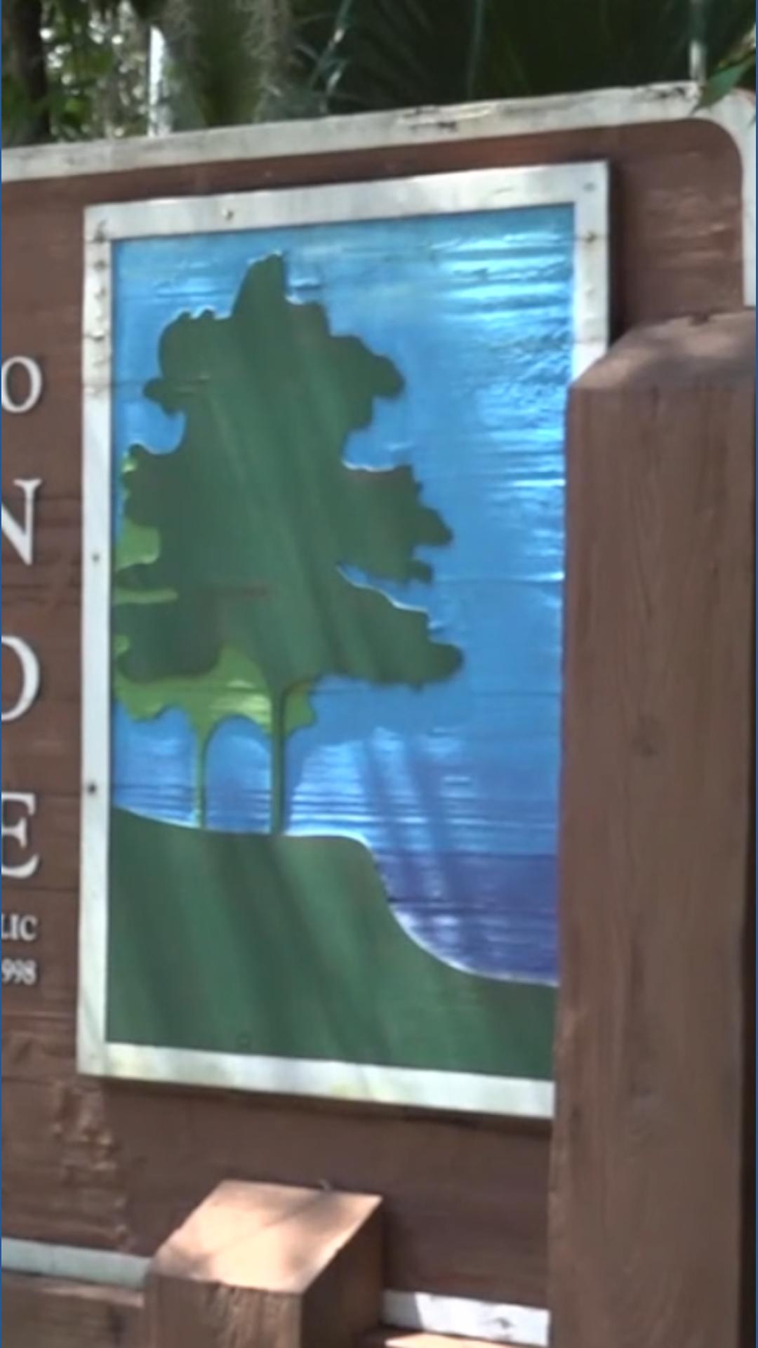 Dutton Island Preserve in Atlantic Beach closed due to 'significant ...