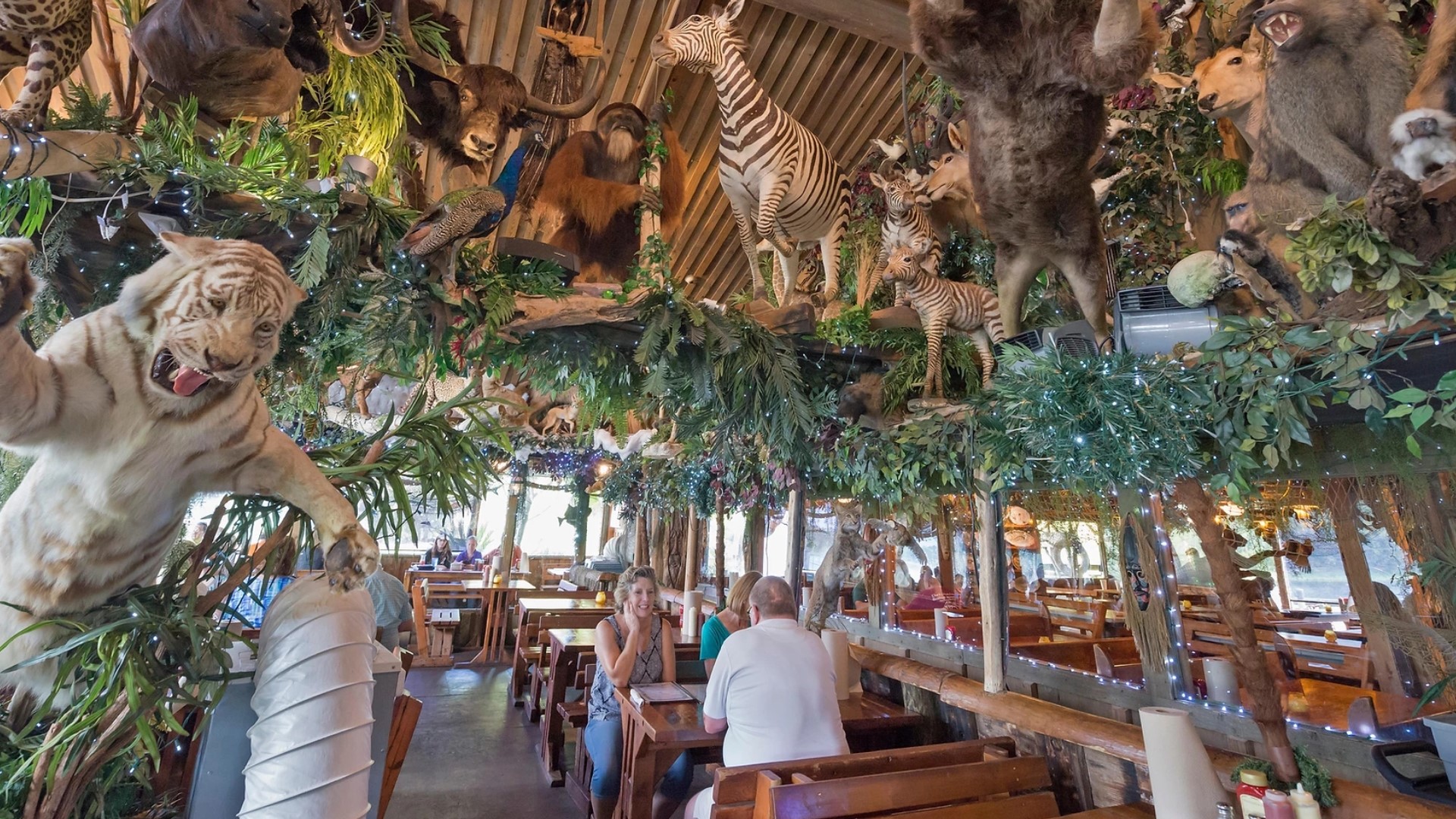 Clark's Fish Camp reopening | firstcoastnews.com