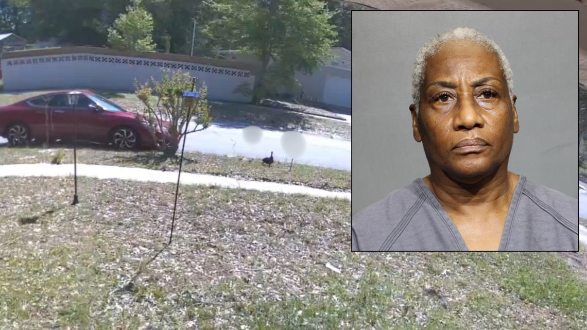 Jacksonville woman pleads not guilty to intentionally running over 11 ...
