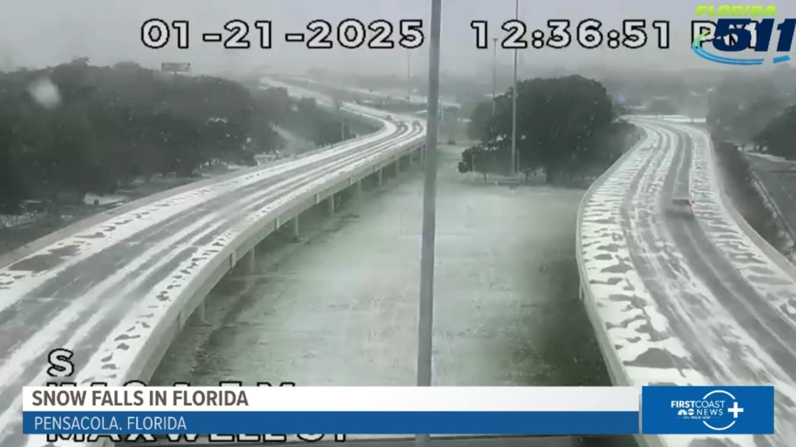 Southeast Georgia snowfall live camera | firstcoastnews.com
