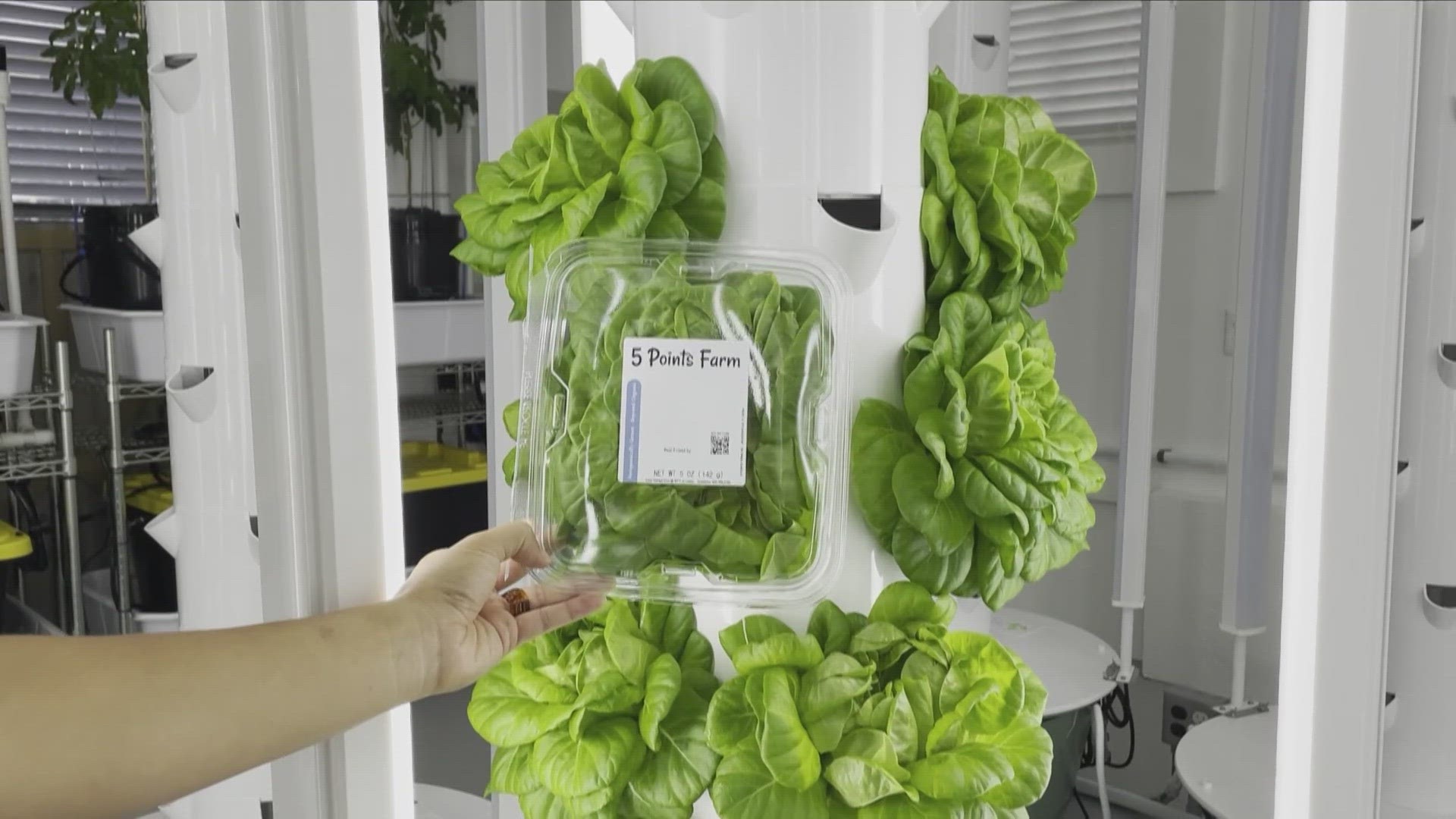 5 Points Farm offers fresh options with zero waste for Riverside locals ...