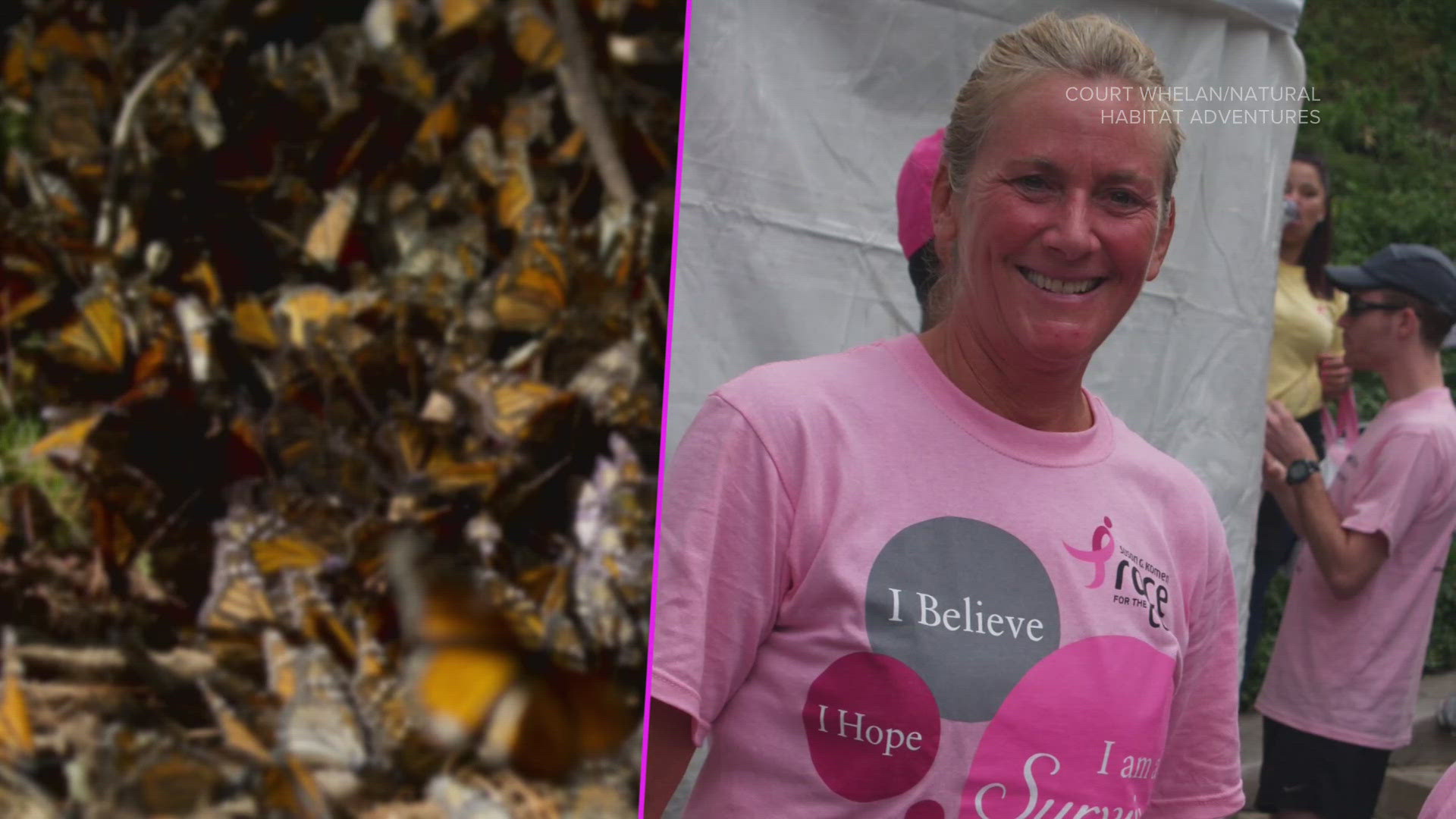 Buddy Check 12: Breast cancer survivor granted trip to study Monarch ...