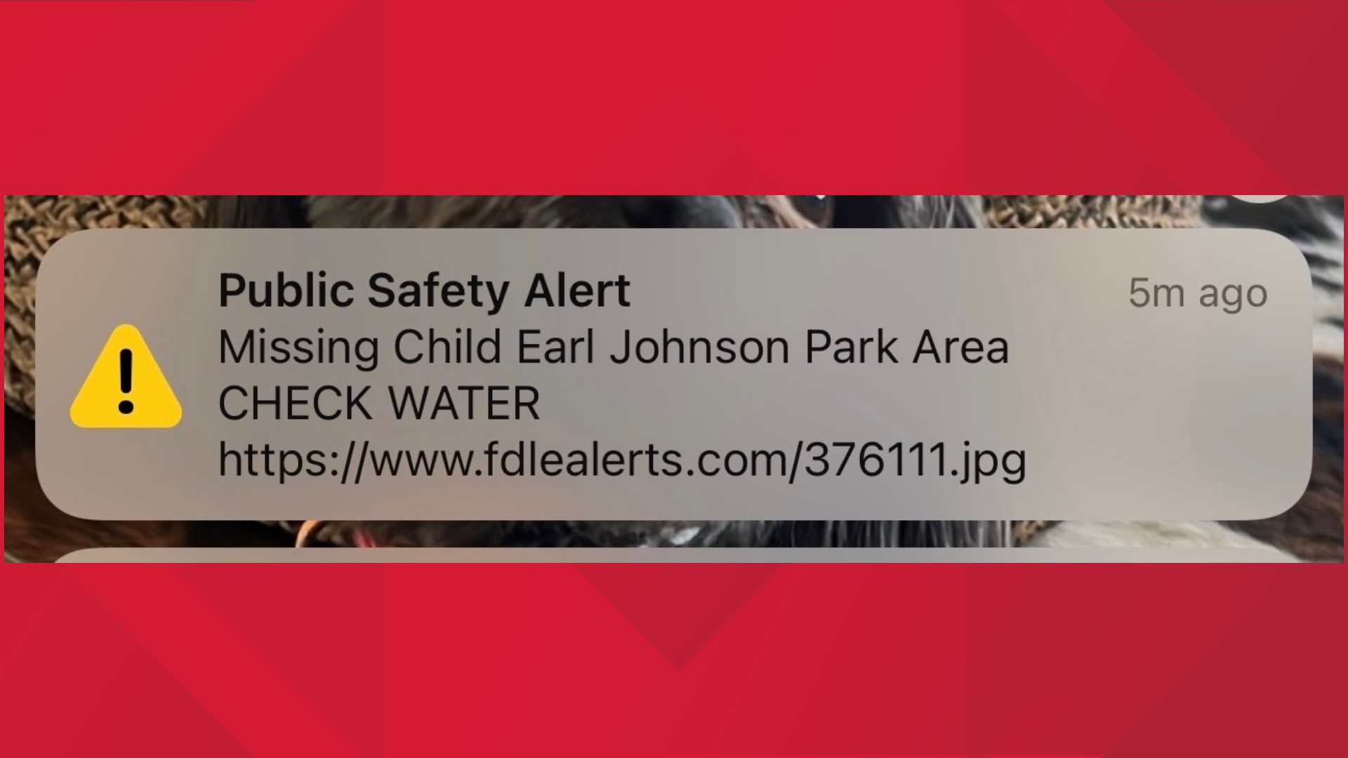 Police search for 7-year-old boy last seen in Lakewood area ...