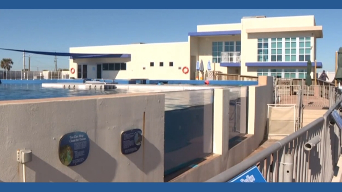 Former Marineland manager 'elated' to return now that park is saved ...