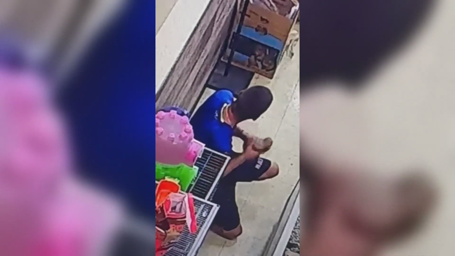 Jacksonville man steals ferret from pet store and hides in pants ...