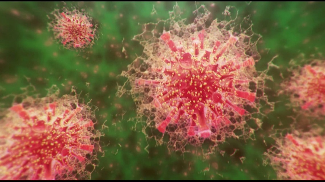 Altamonte Springs officials detect omicron variant in wastewater ...