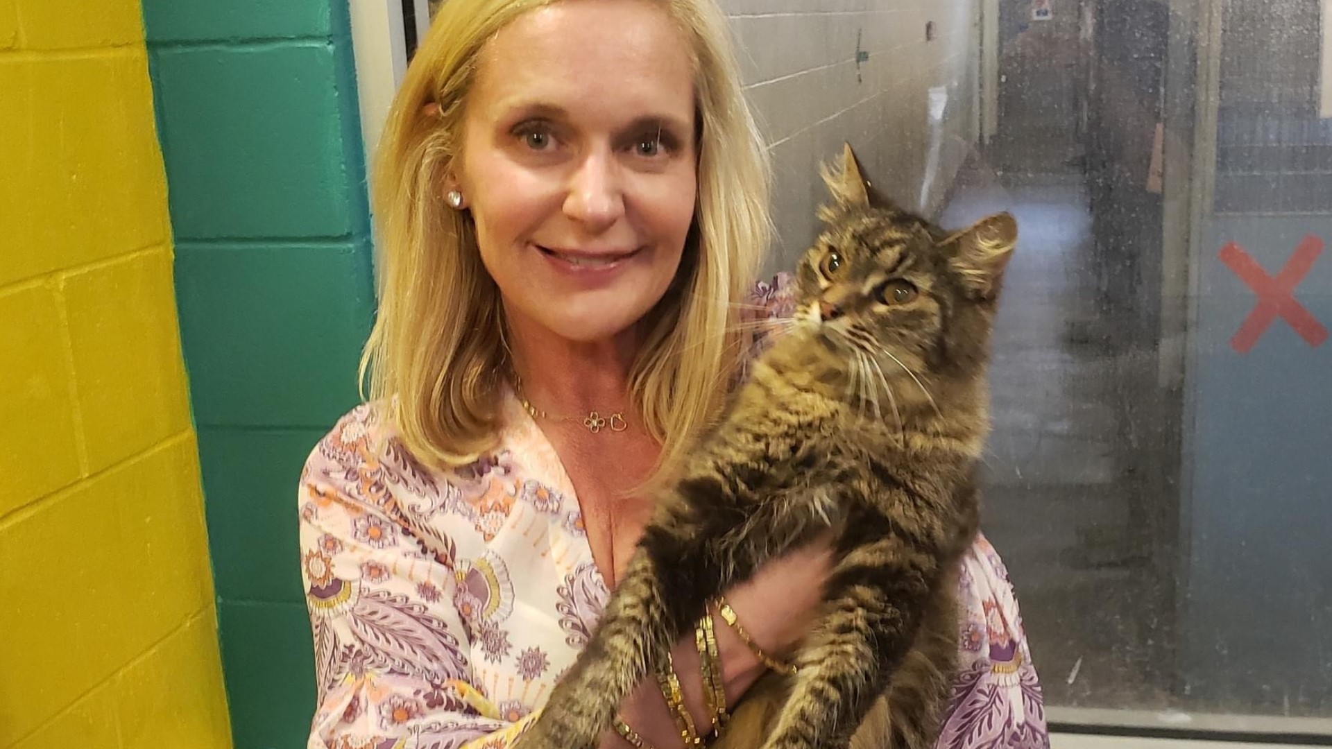 Derek the cat reunited with family after 11 years | firstcoastnews.com