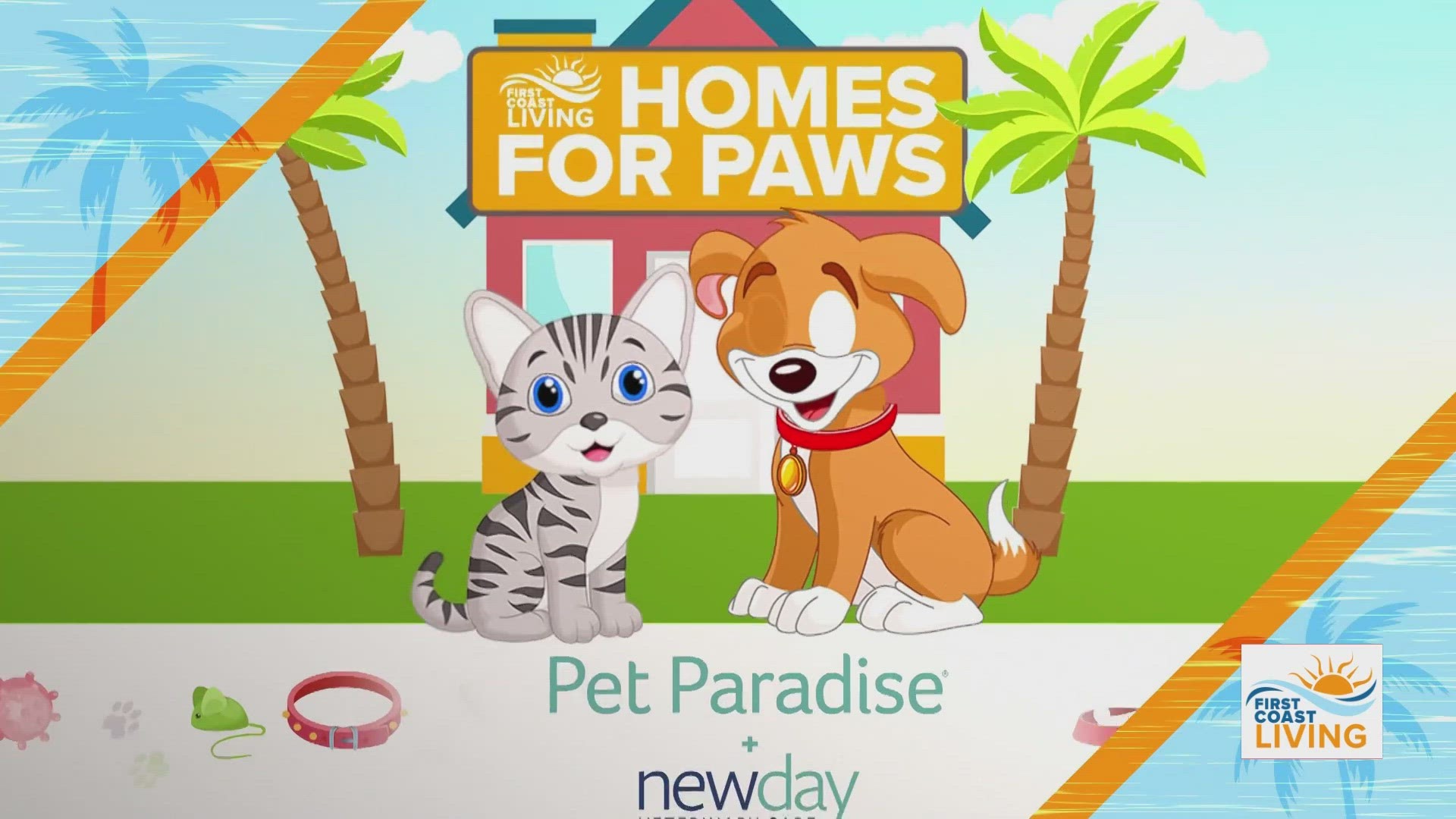 Home for Paws: Meet Autumn! | firstcoastnews.com