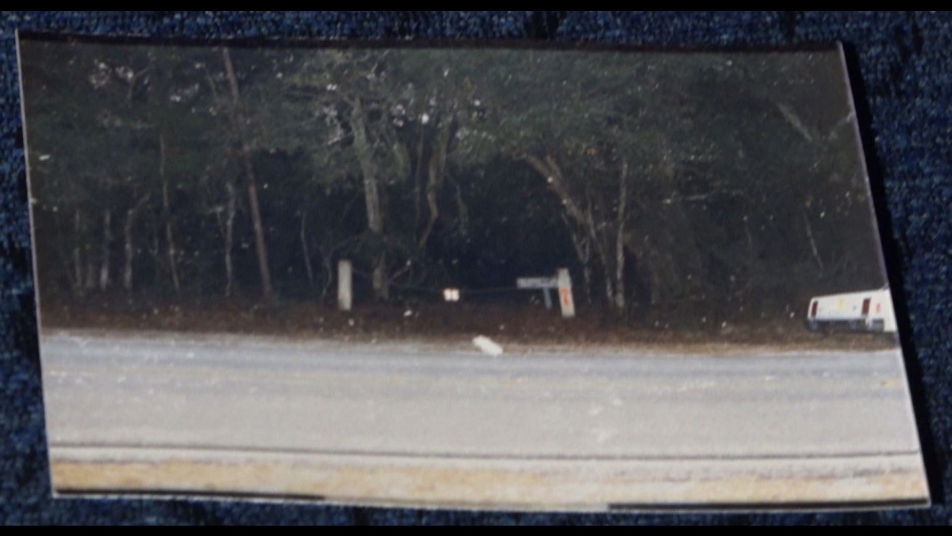 Gallery | *Warning: Graphic* Photos from Jacksonville Sheriff's Office cold case investigation ...