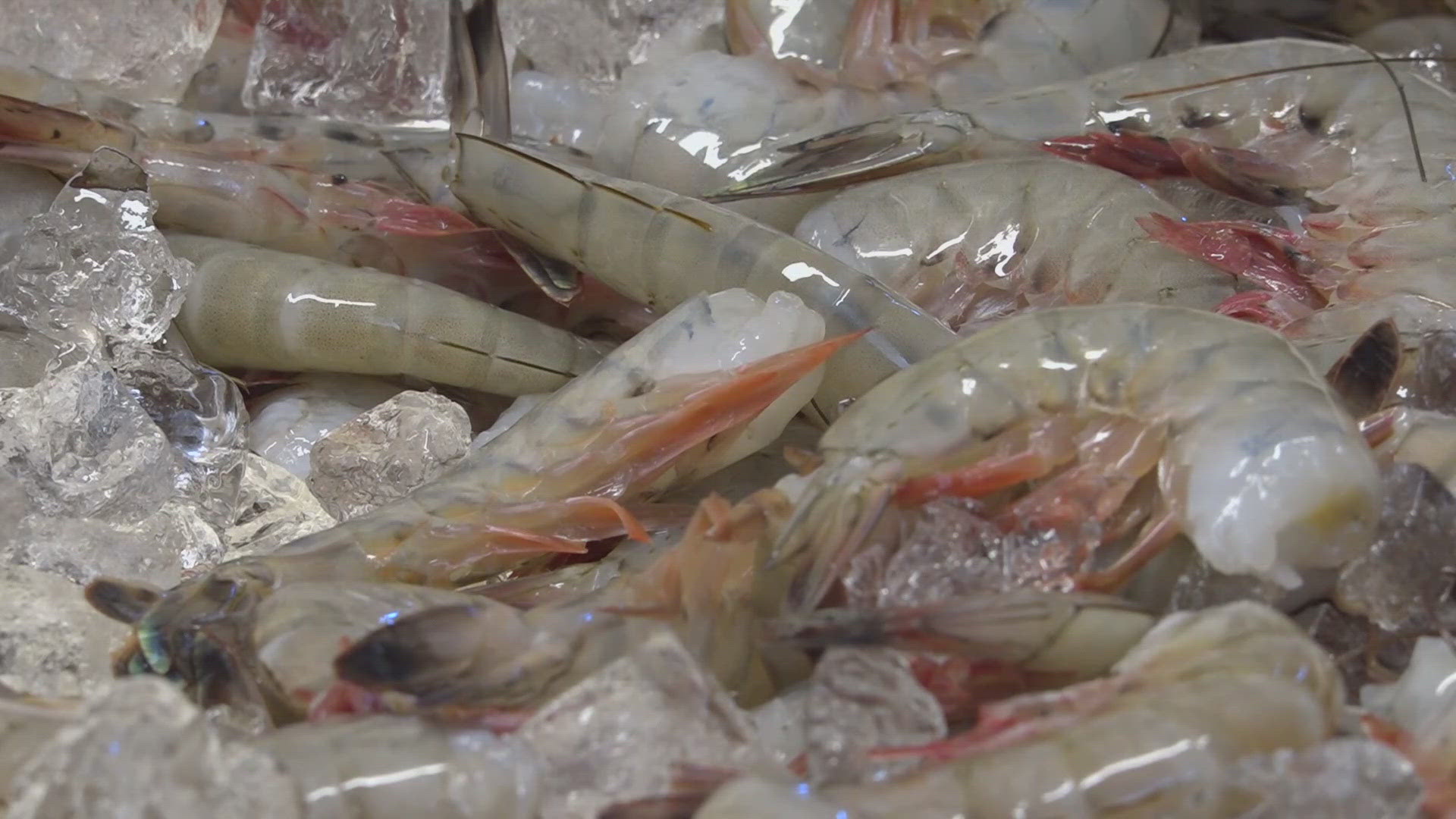 Duval County shrimping industry at risk without support, study warns ...
