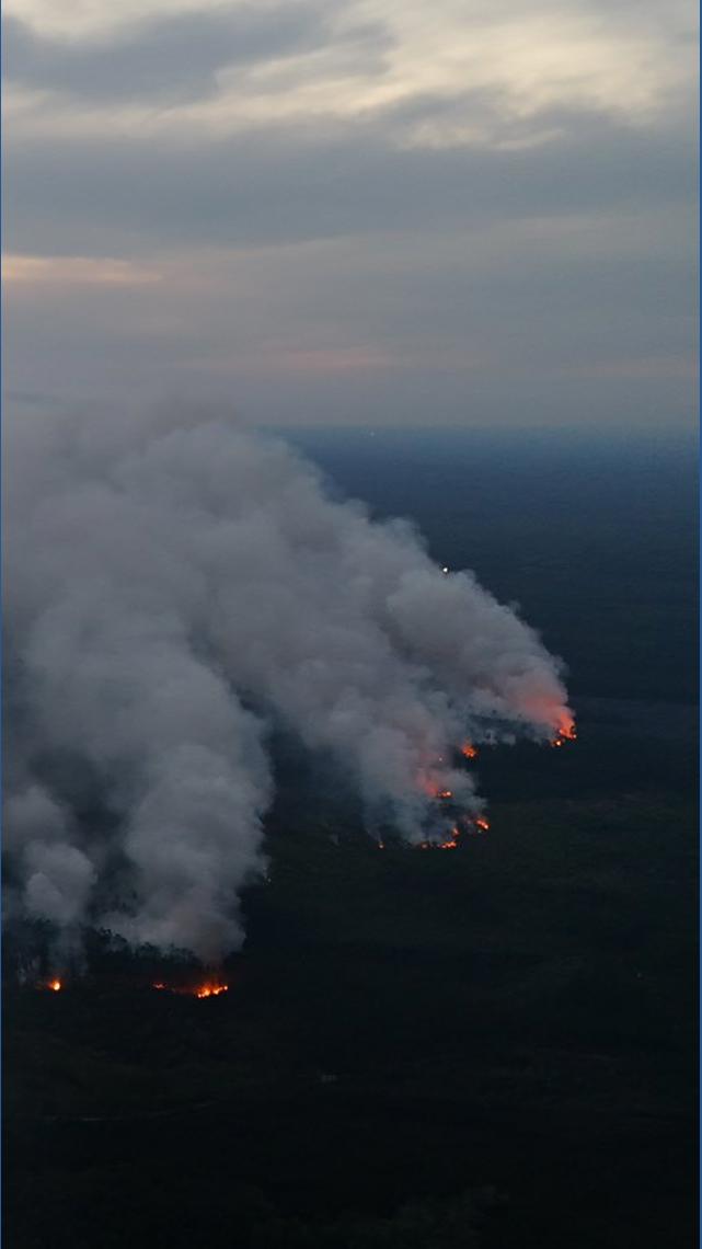 Active Brantley County evacuation orders due to wildfire ...