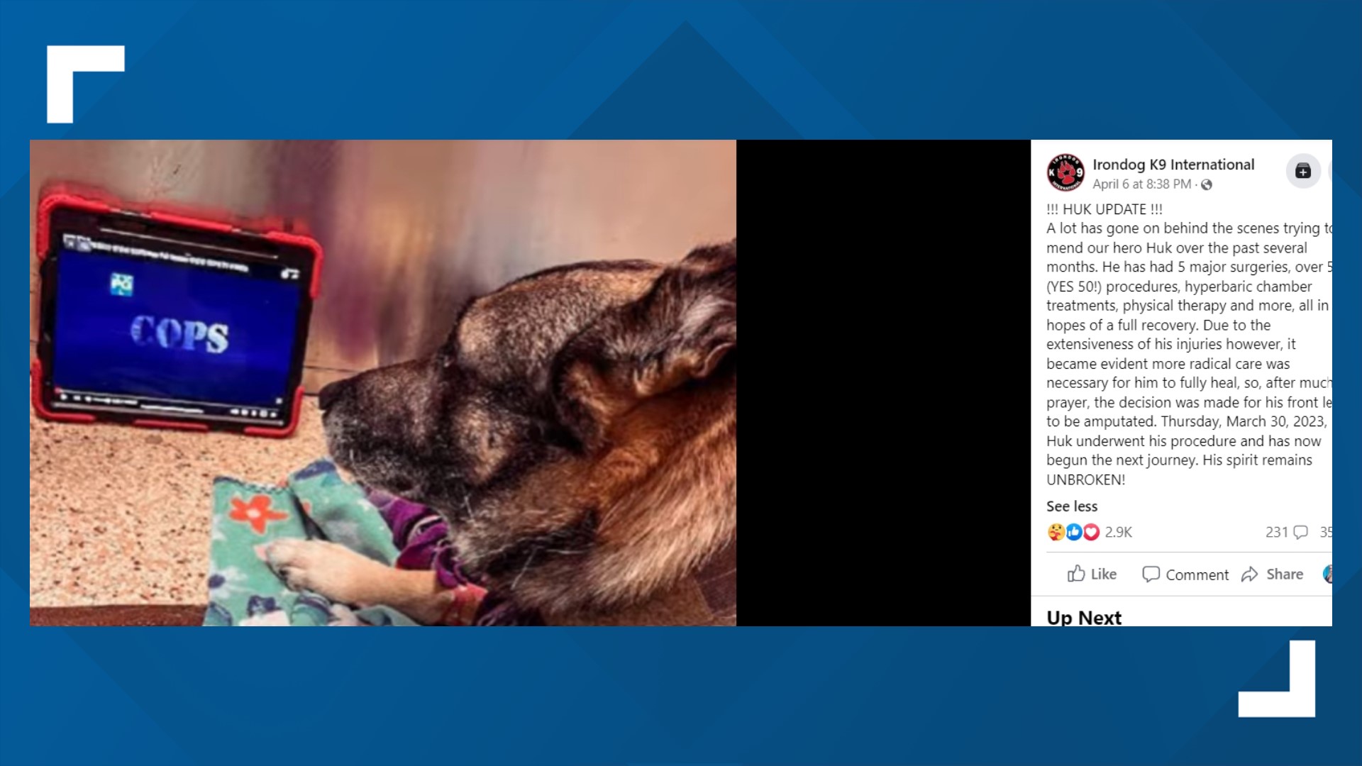 Video shows efforts to save JSO K9 Huk | firstcoastnews.com