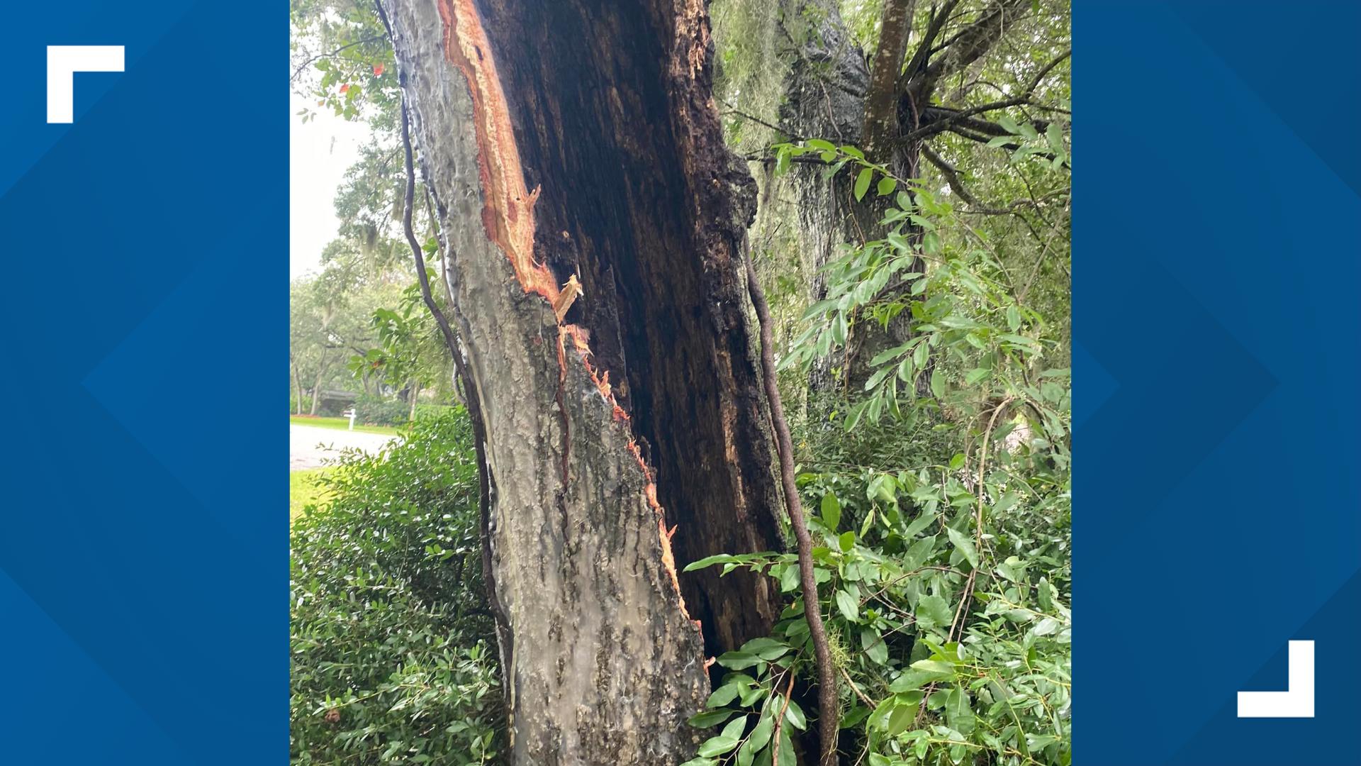 PHOTOS: Hurricane Debby storm damage across Northeast Florida ...