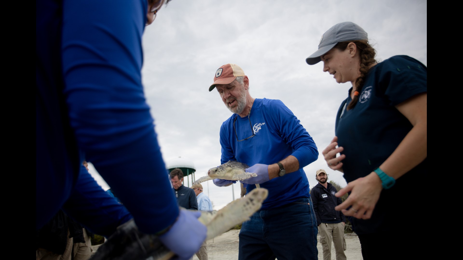 Record-breaking sea turtle release on Jekyll Island, Georgia ...