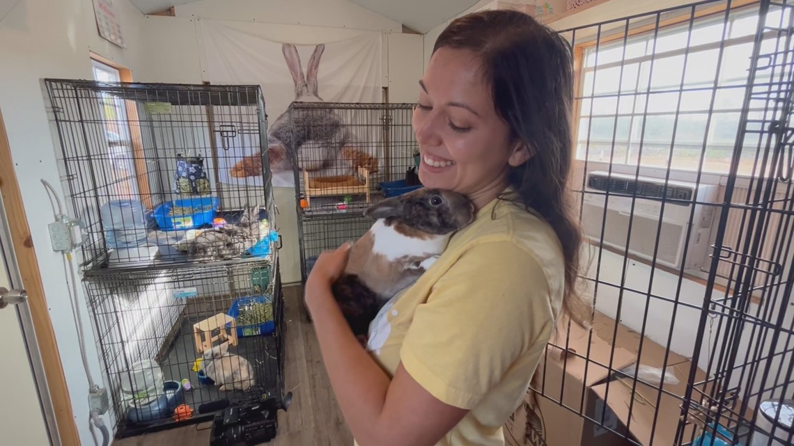 New bunny rescue saves 100+ in first year | firstcoastnews.com