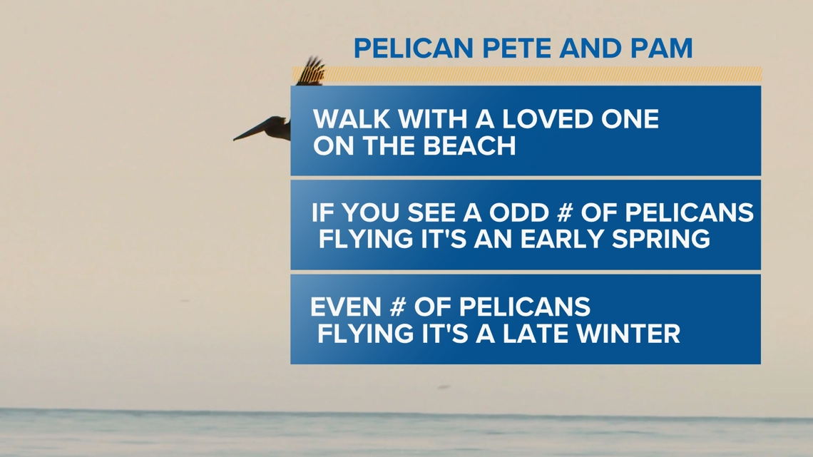 Who is Pelican Pete and Pelican Pam? | firstcoastnews.com