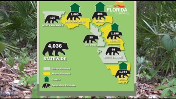 Florida Fish & Wildlife considers first bear hunt in 10 years ...