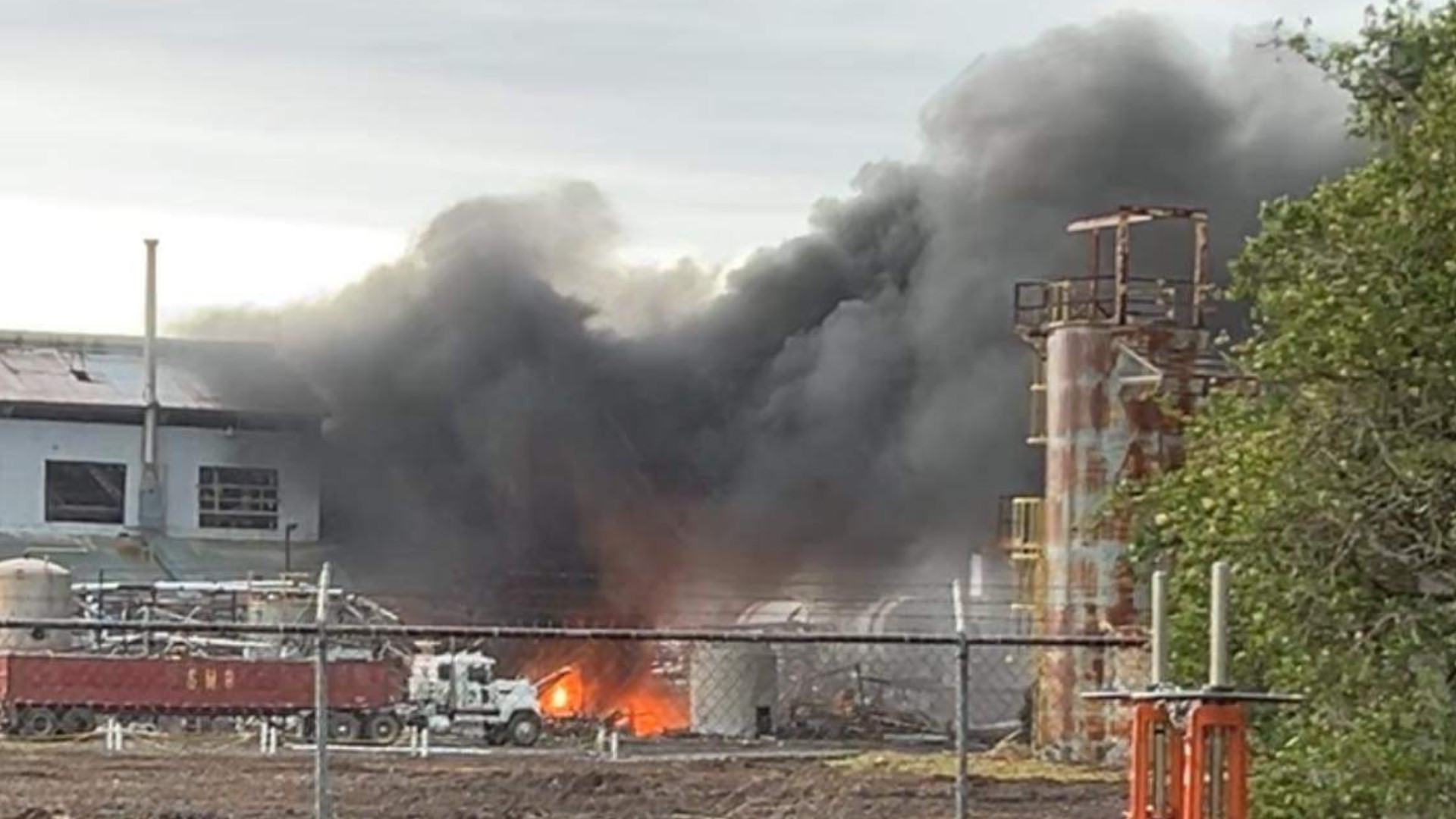 Small fire ignites at Pinova plant in Brunswick | firstcoastnews.com