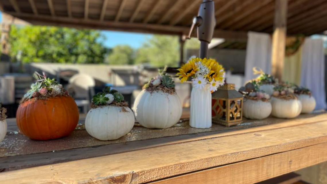 Wesley Wells Farm ready for pumpkin picking | firstcoastnews.com
