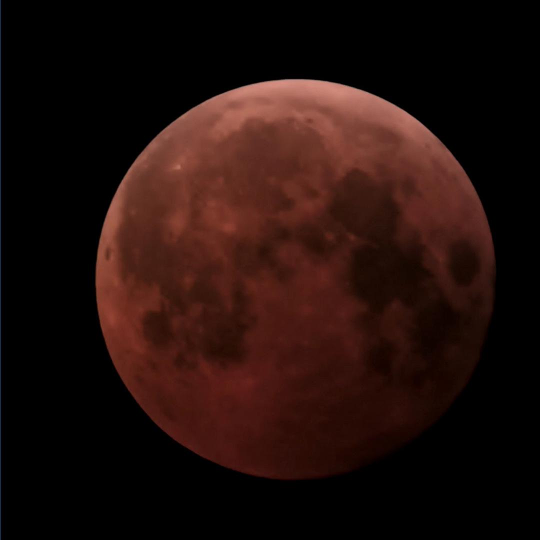 The Blood Moon | How to see the March lunar eclipse from across the ...