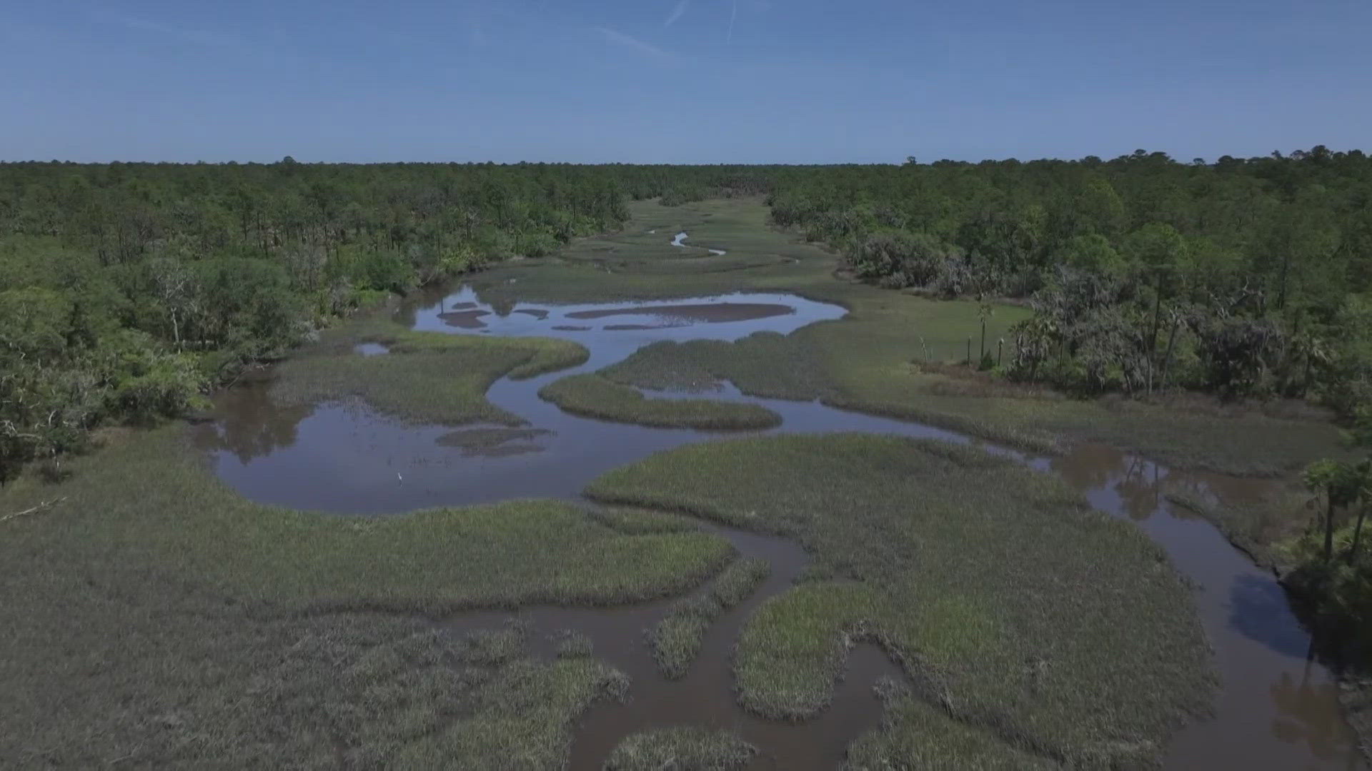 Florida bill takes aim at land swap rules after Guana River Preserve ...