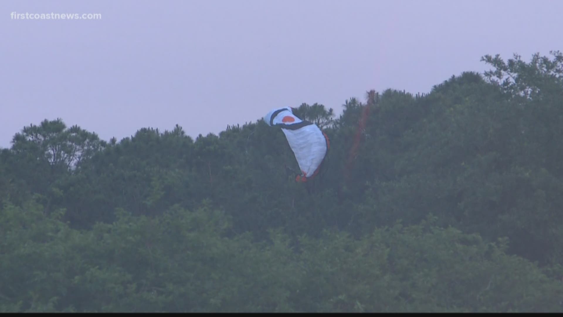 Paraglider crashes into tree 80 feet in the air in Palmetto Park ...