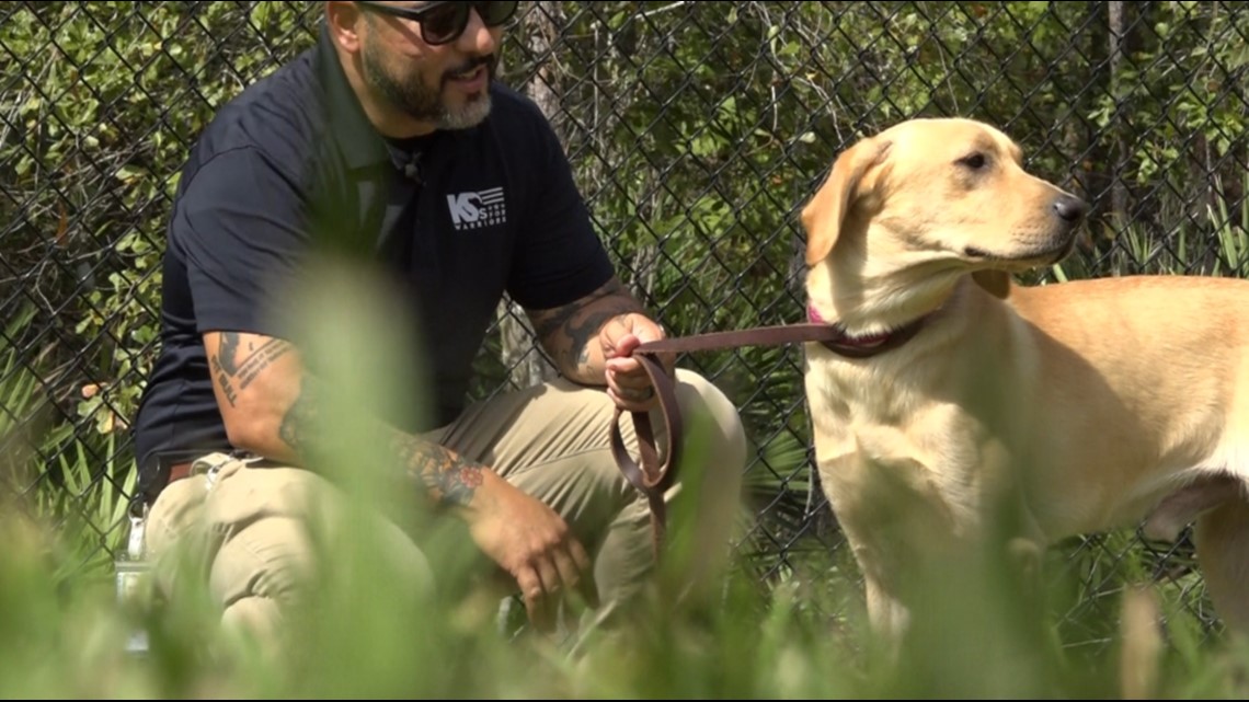 K9s for Warriors to take on some rescue dogs coming to St. Johns ...