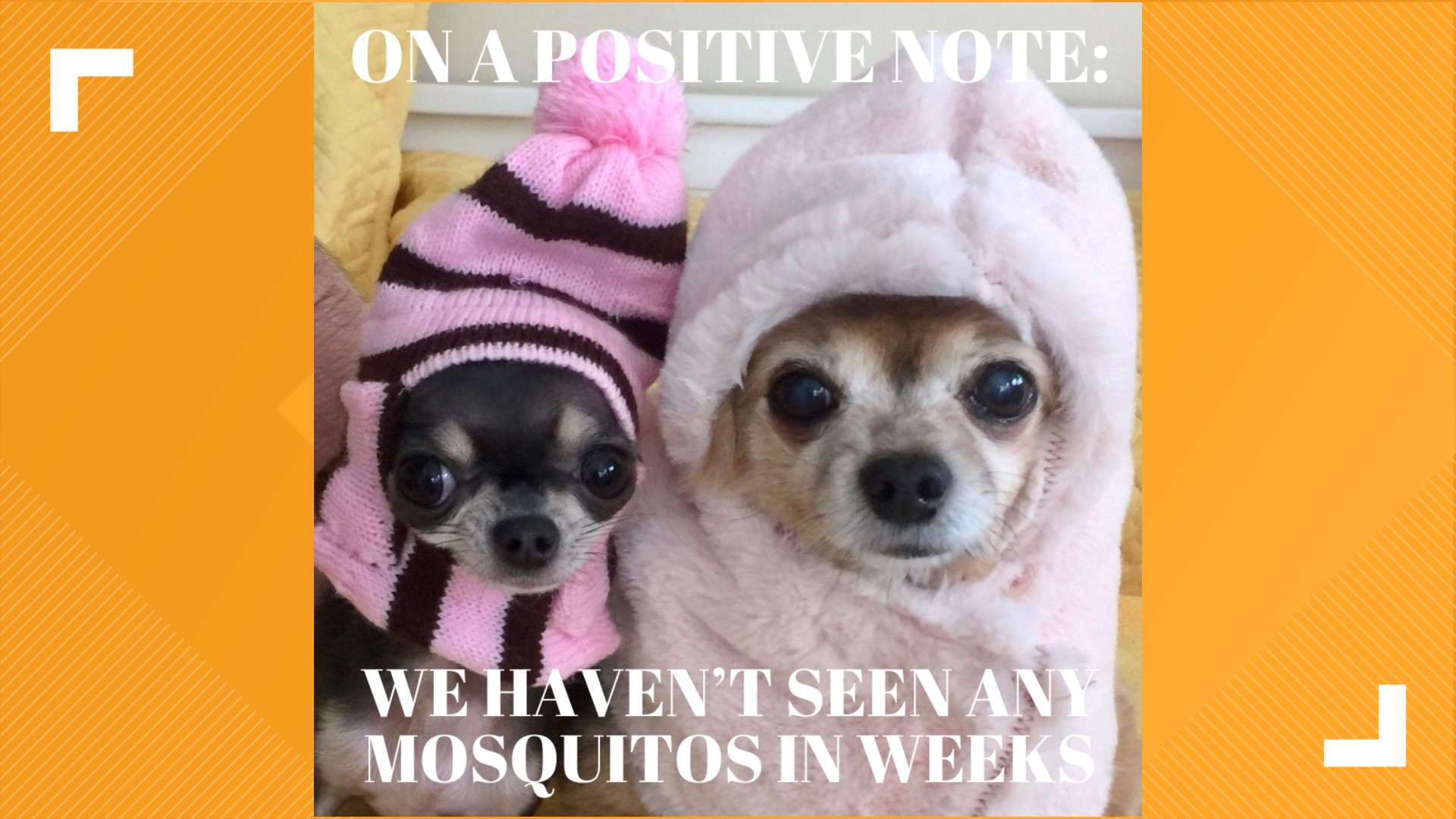 Deep freeze to big thaw! Major temperature swing coming for ...