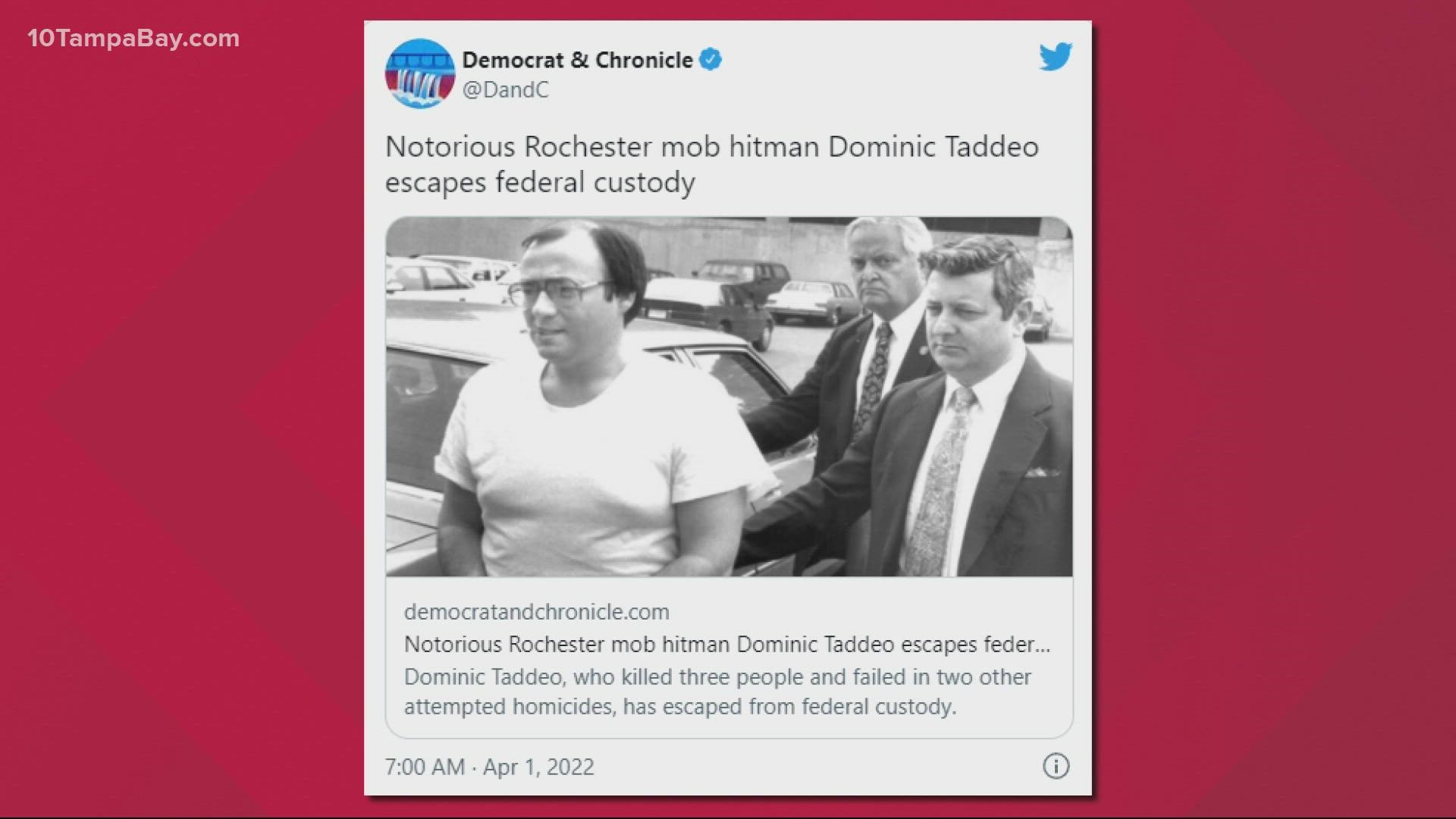 Dominic Taddeo, convicted New York mobster, escapes custody ...