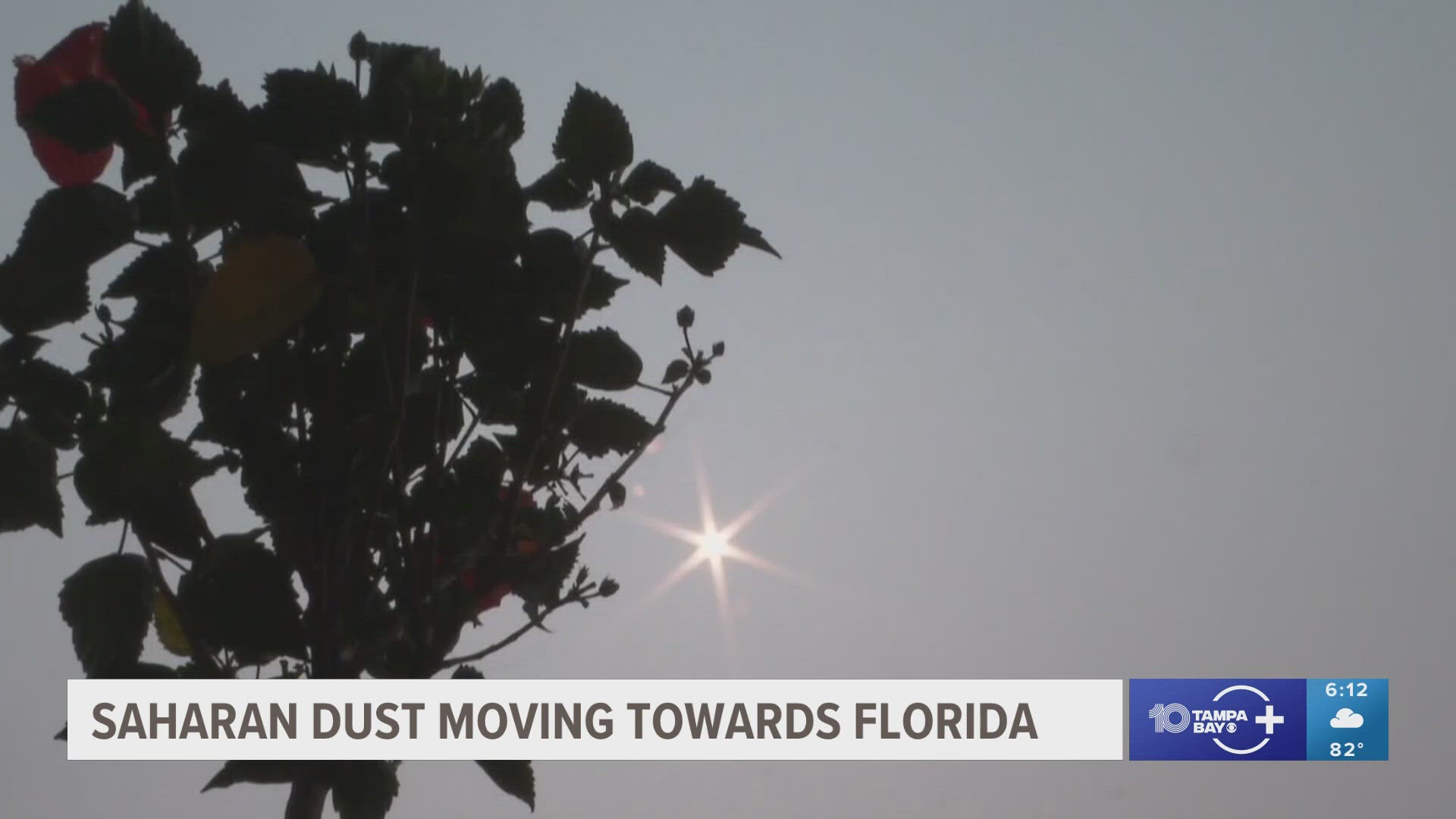 Saharan dust reaches Florida: What does it mean and what are the ...