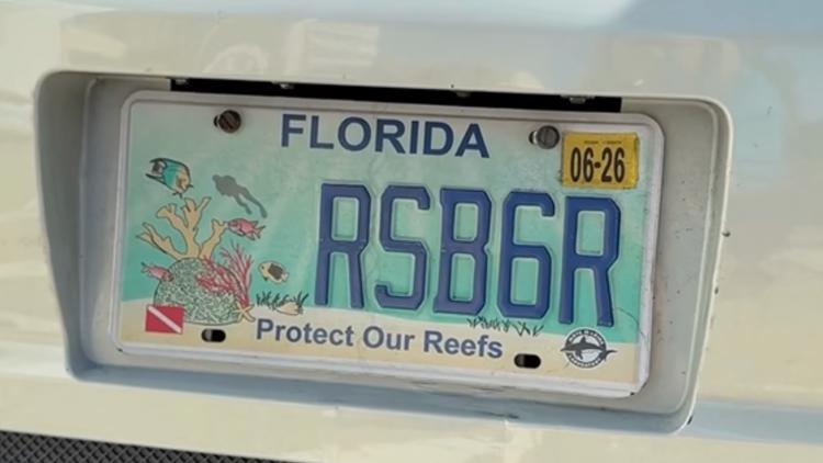 Florida's new license plate law: Here's what is and isn't allowed ...