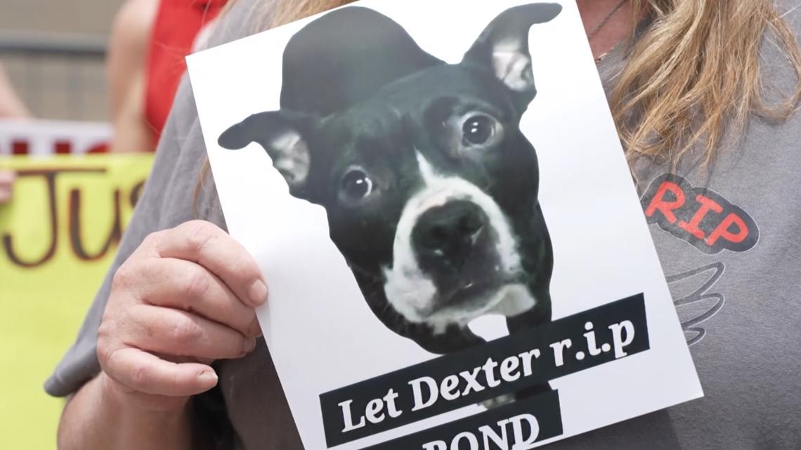 Dexter's Law creates Florida animal abuse database starting Jan. 1 ...