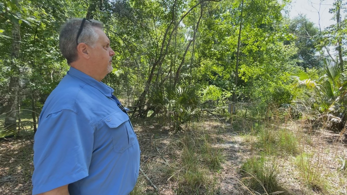Man enters Jacksonville store and chases people with live alligator ...