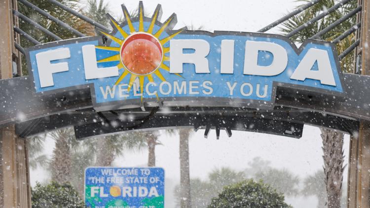 Here's how much snow Florida received in the rare January 2025 winter ...