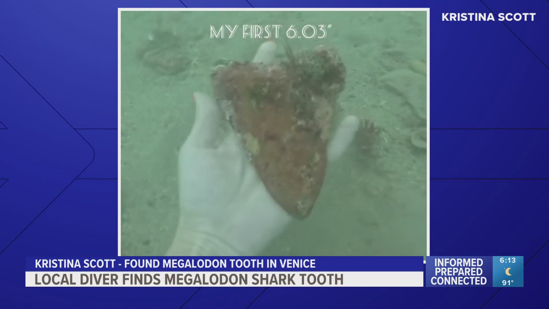 Diver finds megalodon tooth off Florida's Gulf Coast | firstcoastnews.com