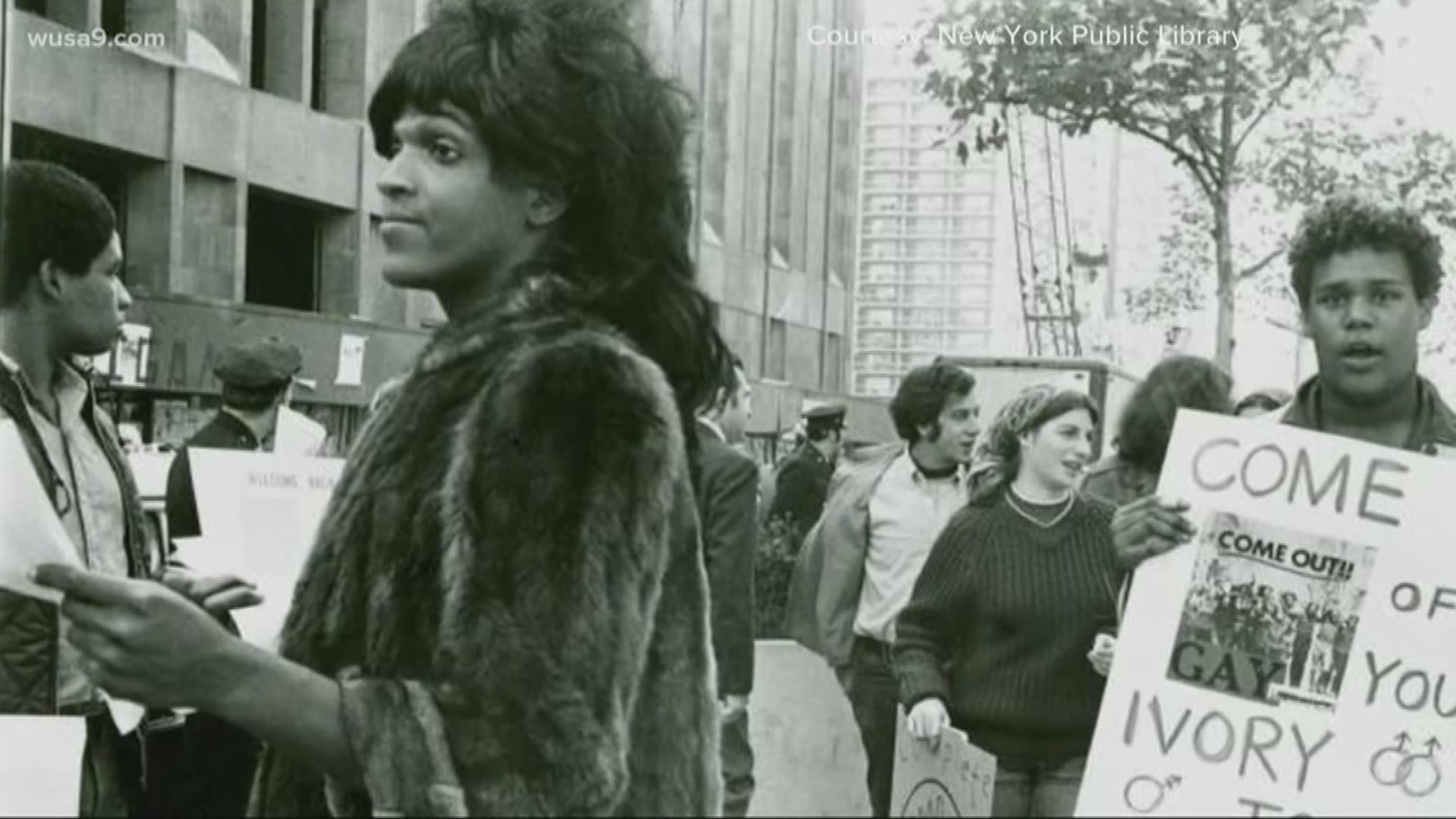 50 years later: The Stonewall's path from illicit dive to national ...